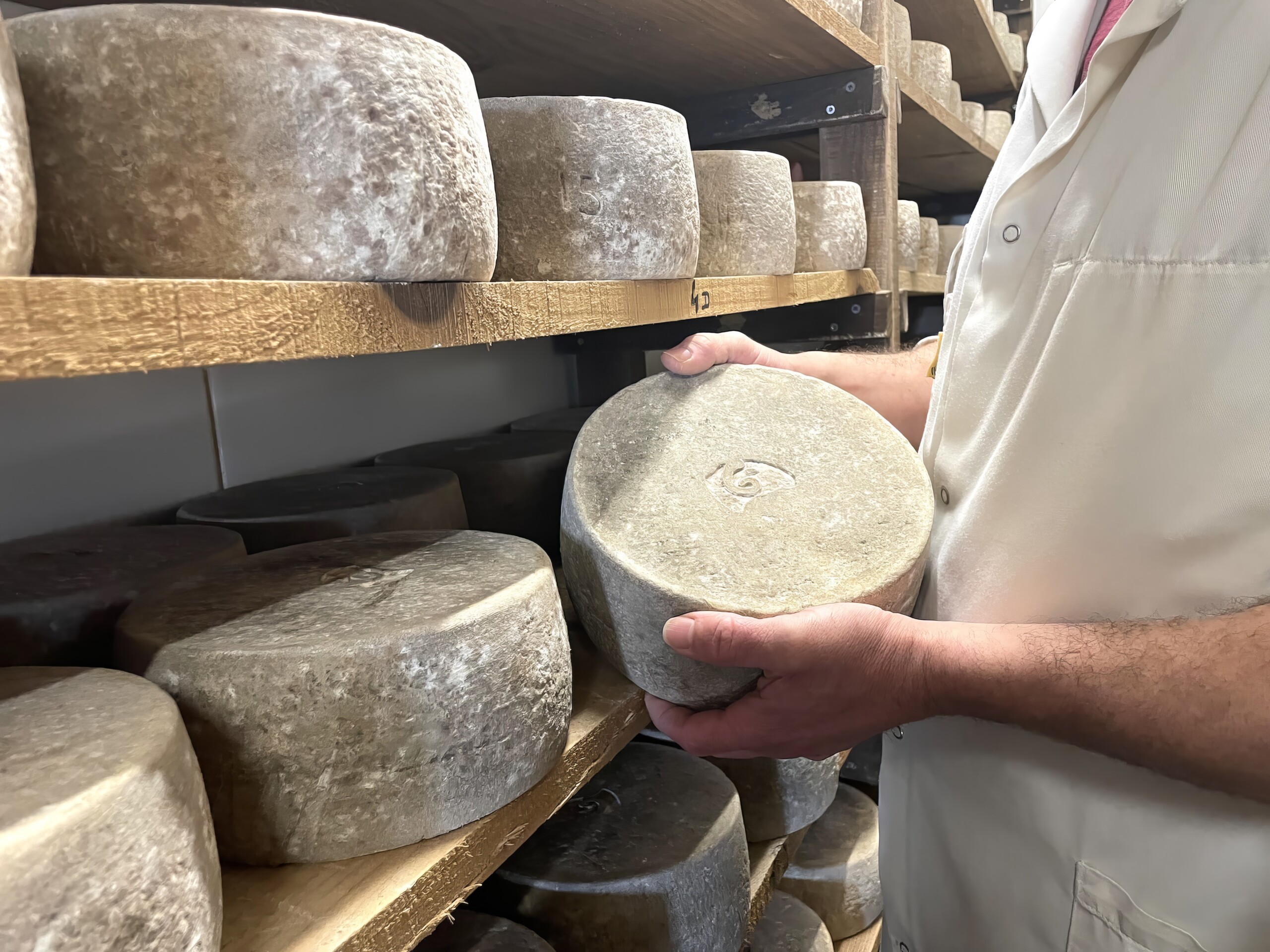 François Fondacci - Hôtel A Casa di Mà